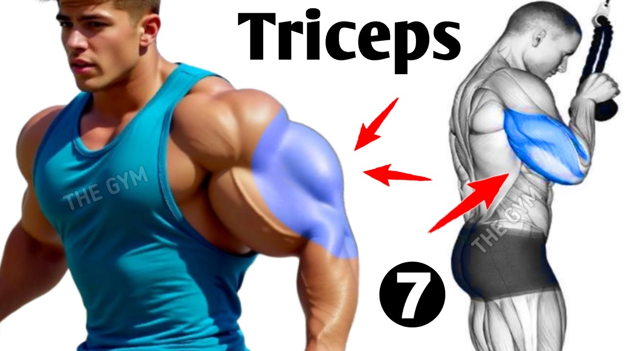7 Best Triceps Workout at Gym for Massive Arms - YouTube