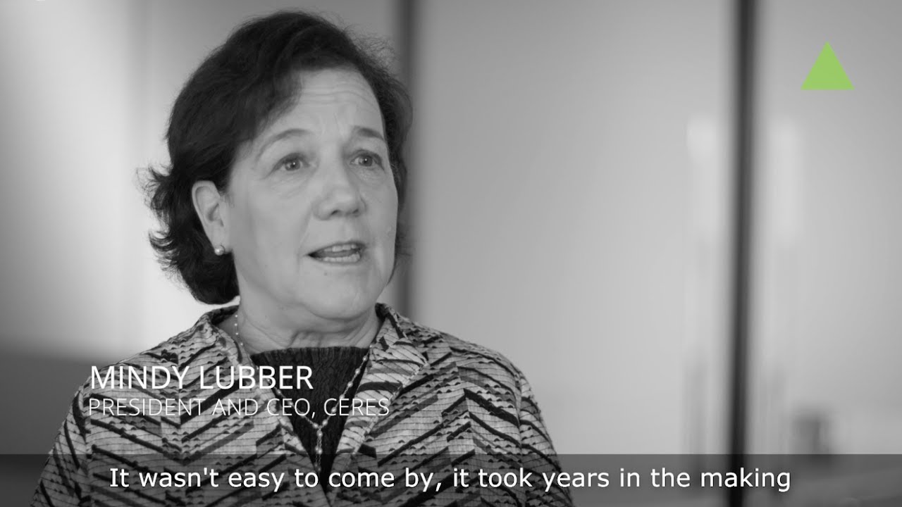 The US needs to stay in the Paris Agreement - Mindy Lubber, President ...