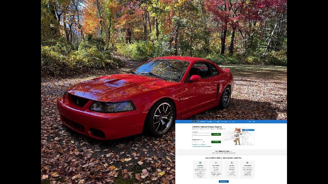 I Ran A Cafax On My Cobra What Did I Find? - YouTube