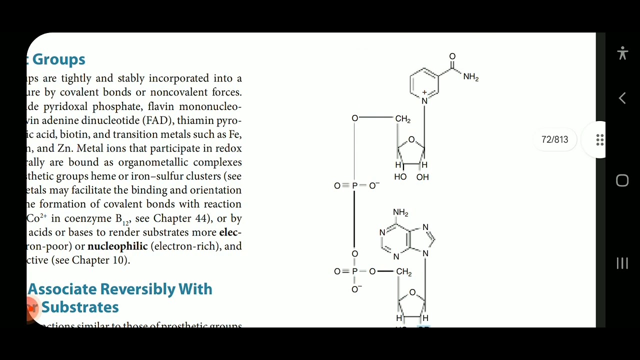 Harper's illustrated biochemistry Section 2 Chapter 7 Enzymes Mechanism ...