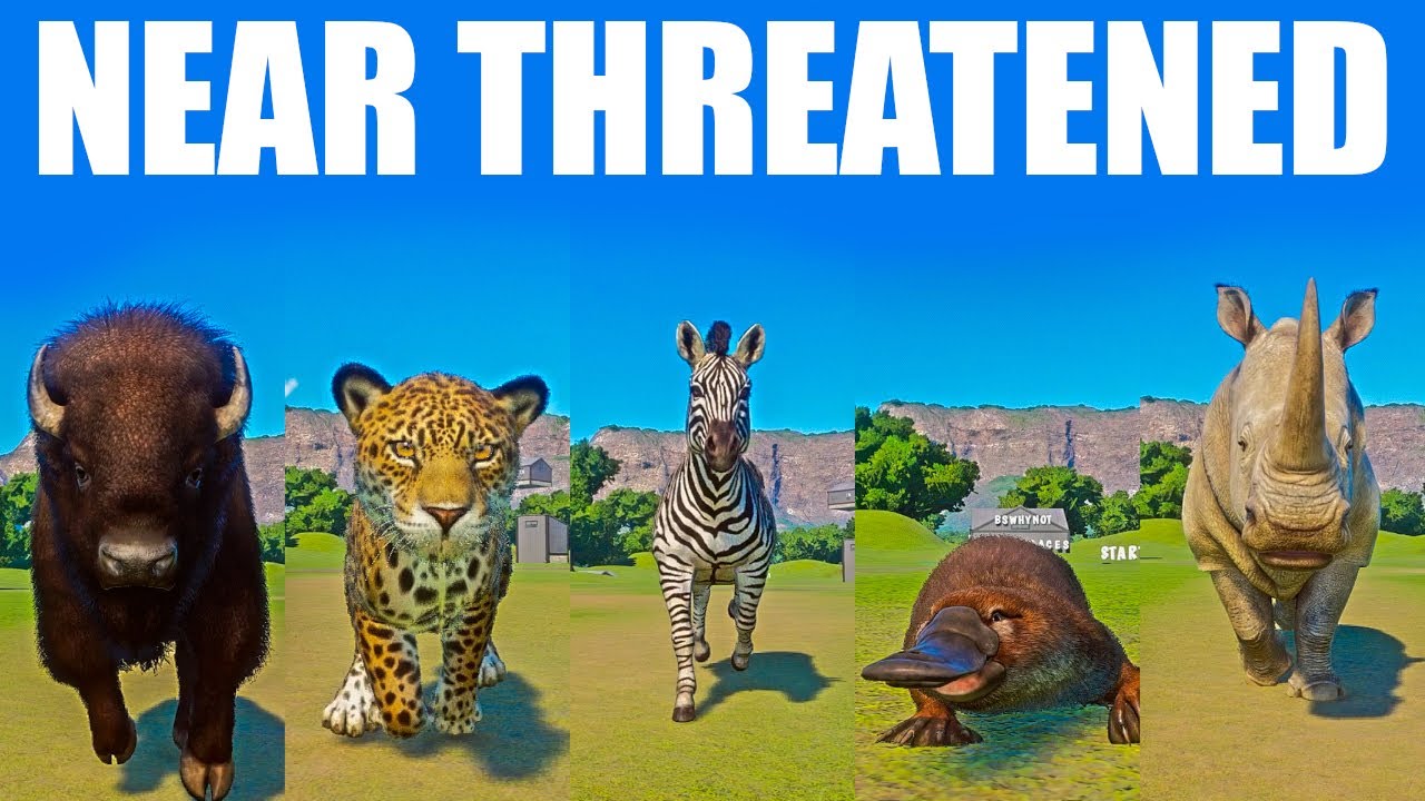 Near Threatened Animals Speed Races in Planet Zoo included Platypus ...