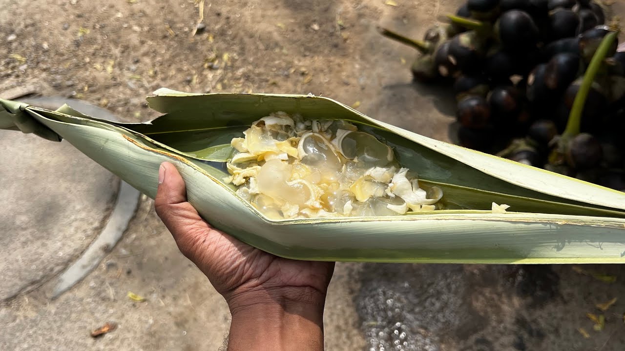 Madurai Evergreen Palmyra Palm Juice | Juice of Toddy Palm | Madurai ...