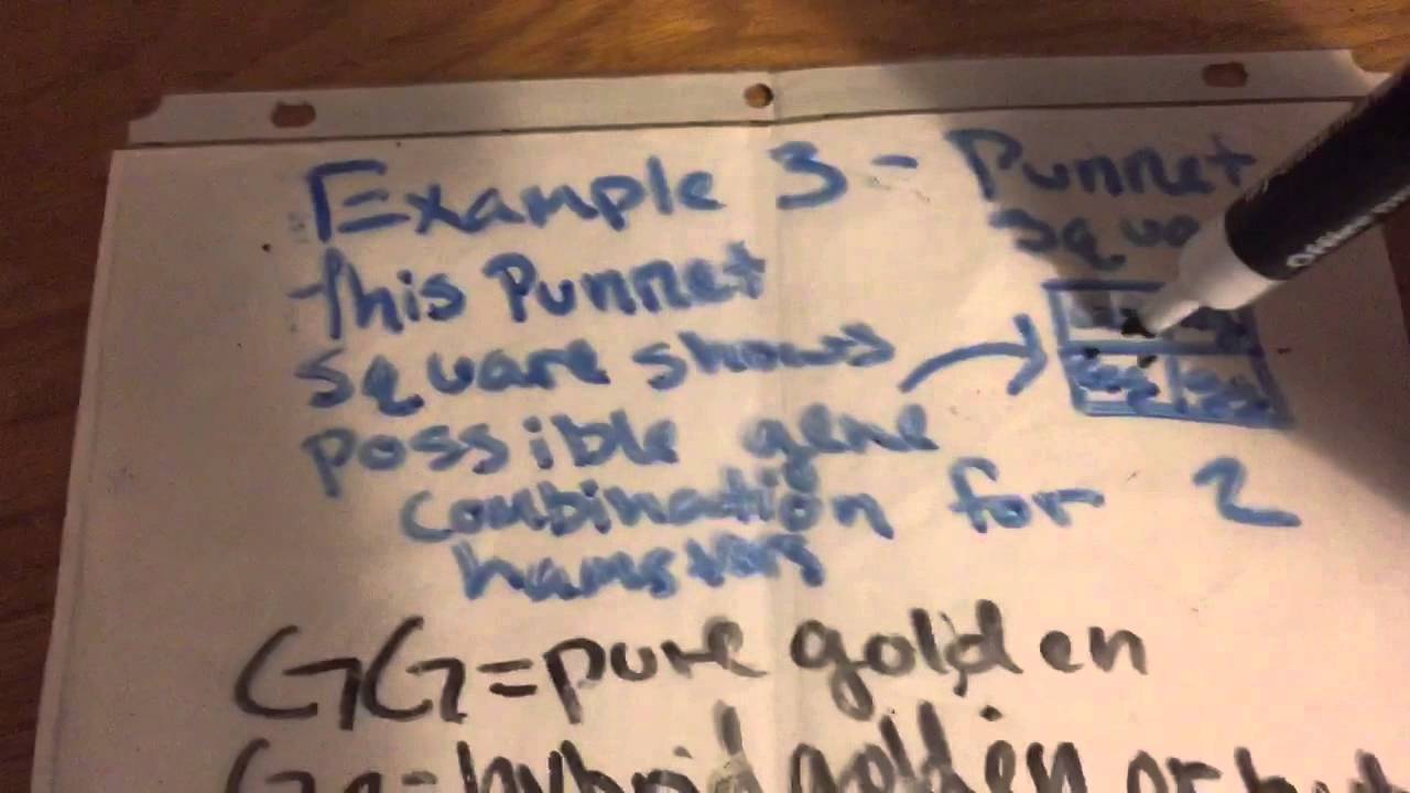 Algebra 1-Chapter 7-Lesson 7 Special Products - YouTube