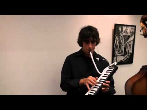 Excalibur 37 Note Pro Artist Series Melodica Black - YouTube