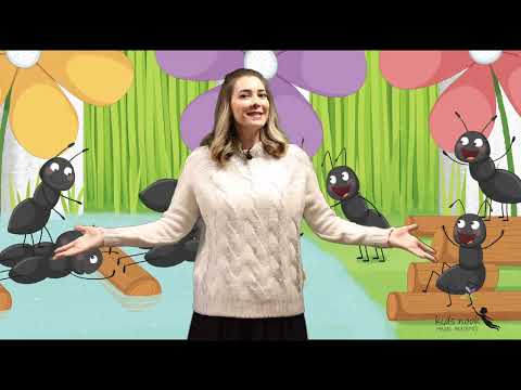 HARİKACA | KARINCA KARARINCA