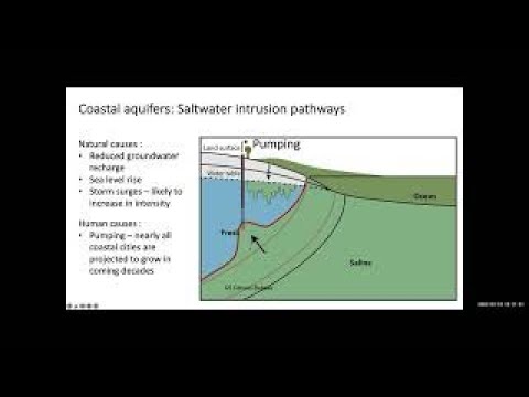 What is SWI and What You Can Do About It, Feb. 12, 2022 - YouTube