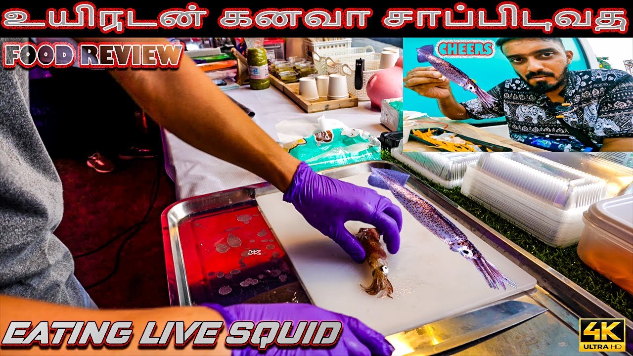 உயிருடன் கனவா சாப்பிடுவது 💥🤯 tamil food review EATING SQUID ALIVE ...