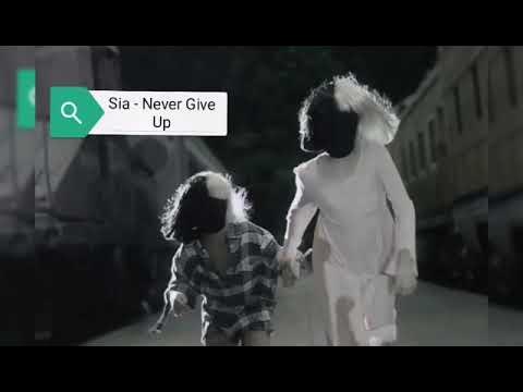 Sia - Never Give Up (lyrics) - YouTube