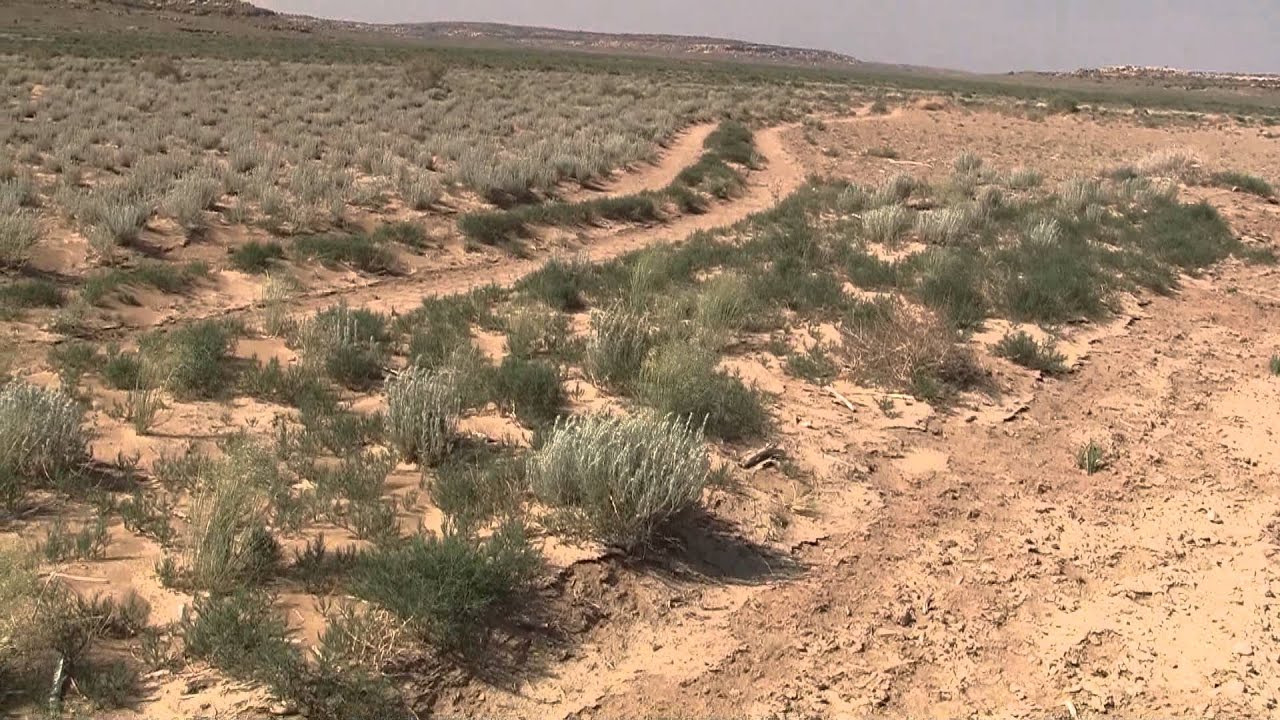 "Hopi Dry Farming" Ahkima's Field Hopi Reservation - YouTube