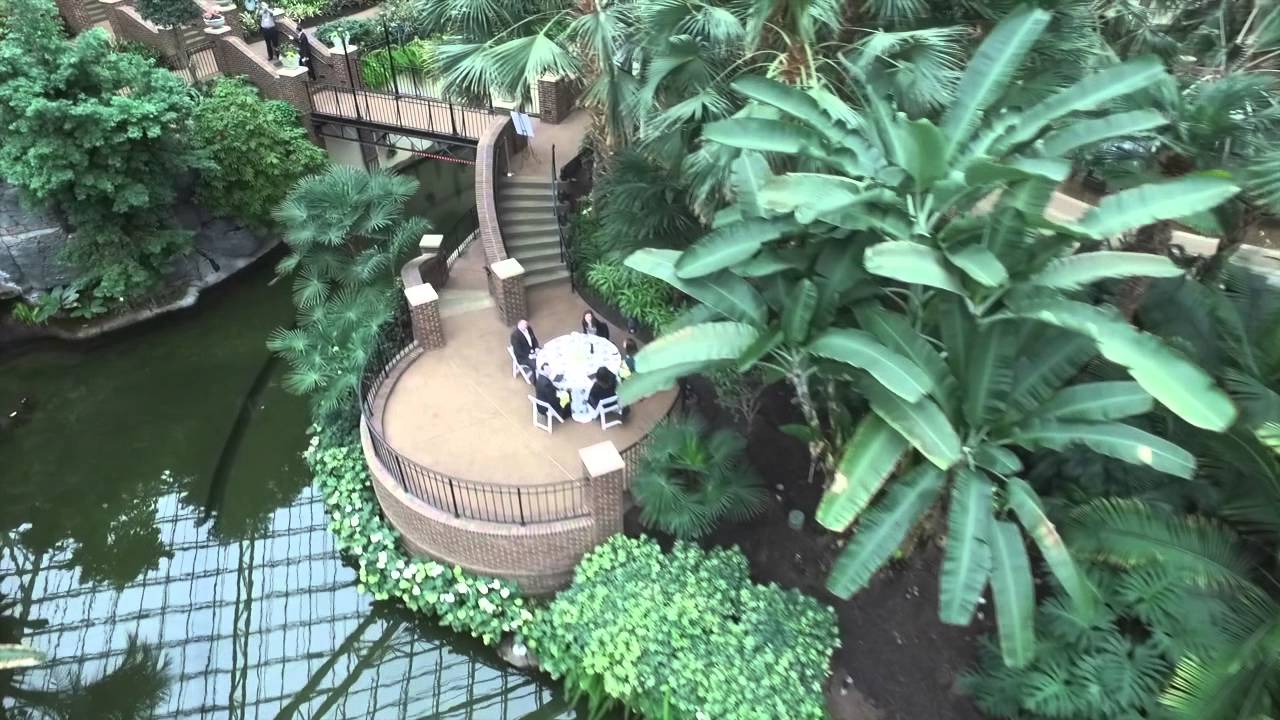 Gaylord Hotels Amazon Site Inspection - YouTube