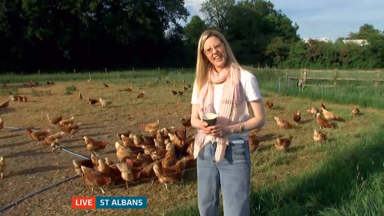 Weather Events - St Albans farm and farmer need the rain (UK) 20/May ...