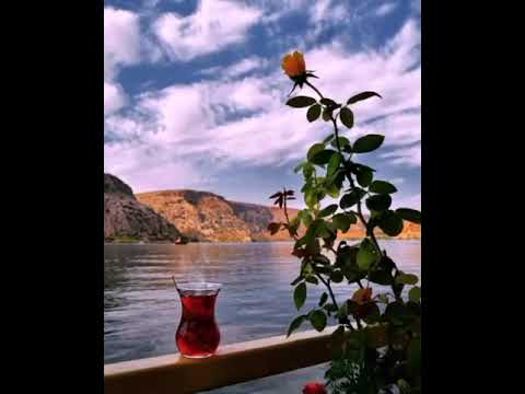 Ustaya sormuşlar, “ Herşeyi kaybettik, ne yapacağız  ” Usta cevap vermiş   “ Çay koy, yeniden başlay