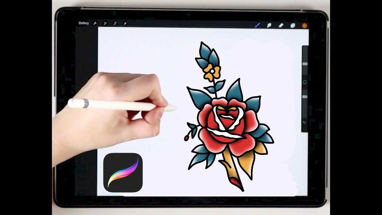 How to Start Drawing, Shading, Highlights on Procreate - American ...