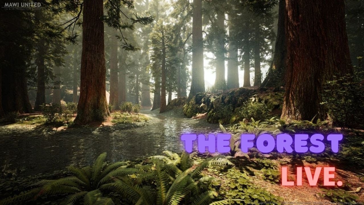 New game today THE FOREST ft. @DavidGopaL & @LEO gamerZ & @Galaxy ...