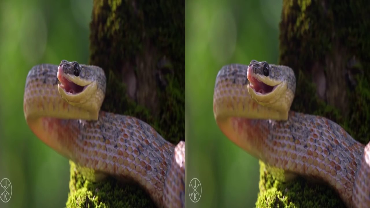 Costa Rica in 3D Side by Side made for Virtual Reality Lenses - YouTube
