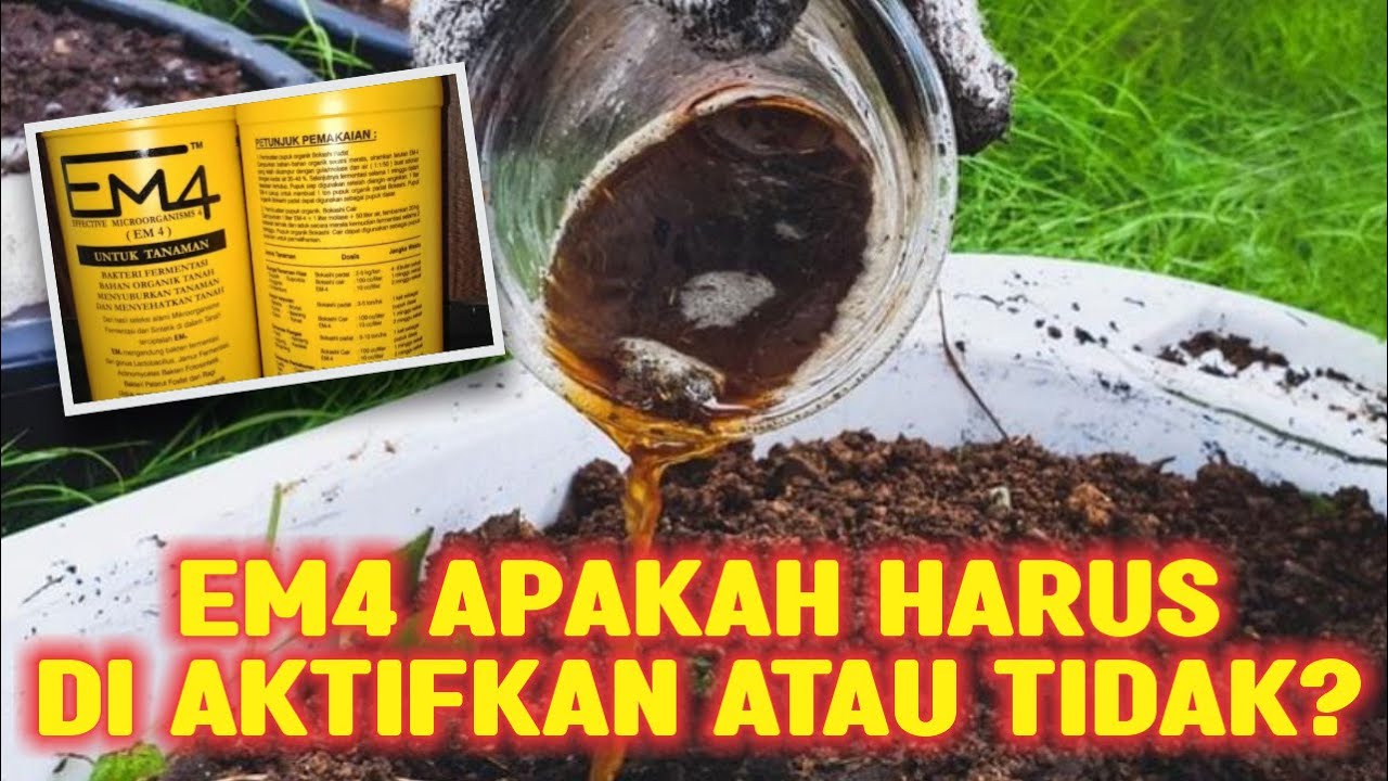 EM4 apakah harus di aktifkan atau tidak? - YouTube
