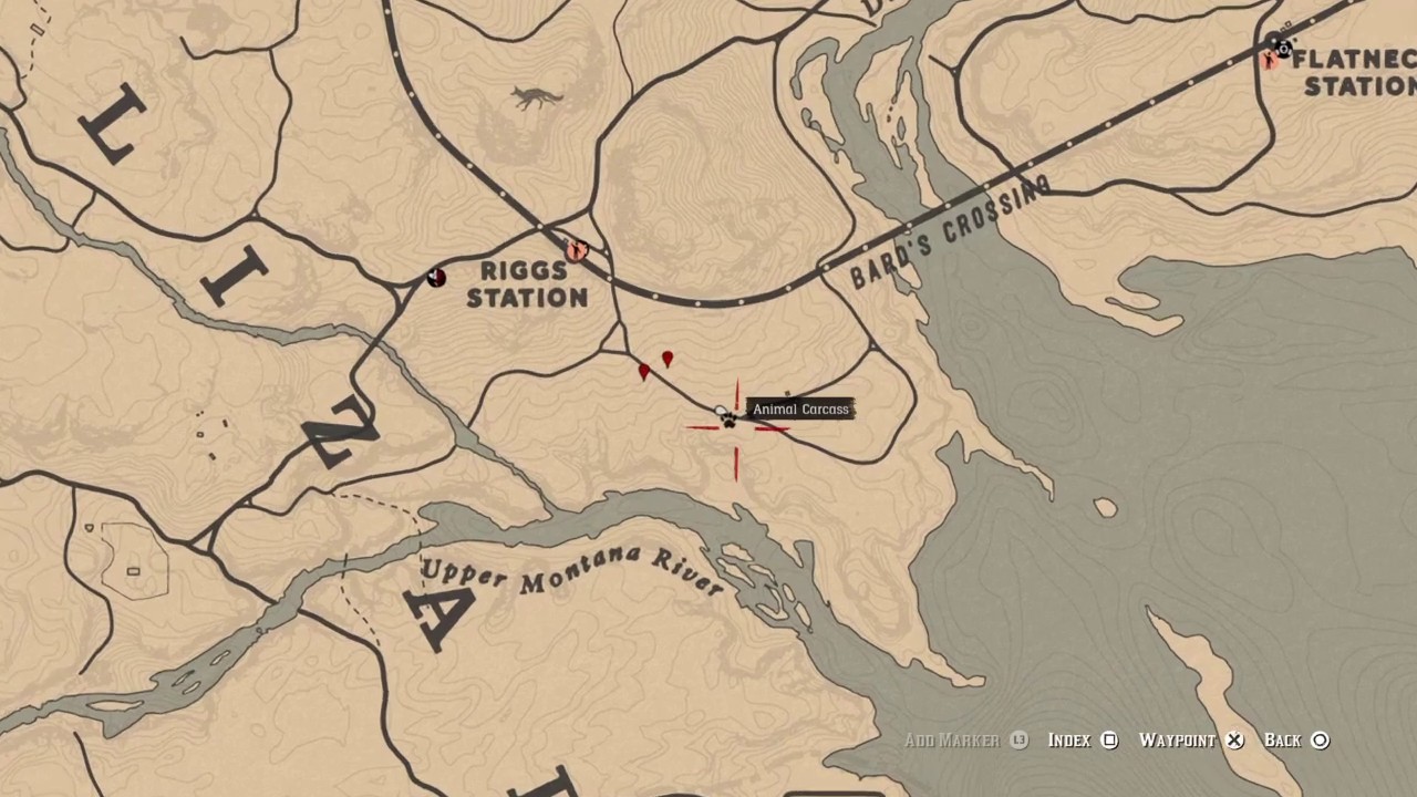 RDR Online Opossum Locations - YouTube