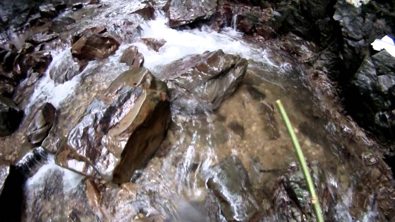 Hiking up the river to Tadake falls in Okinawa, Japan - YouTube