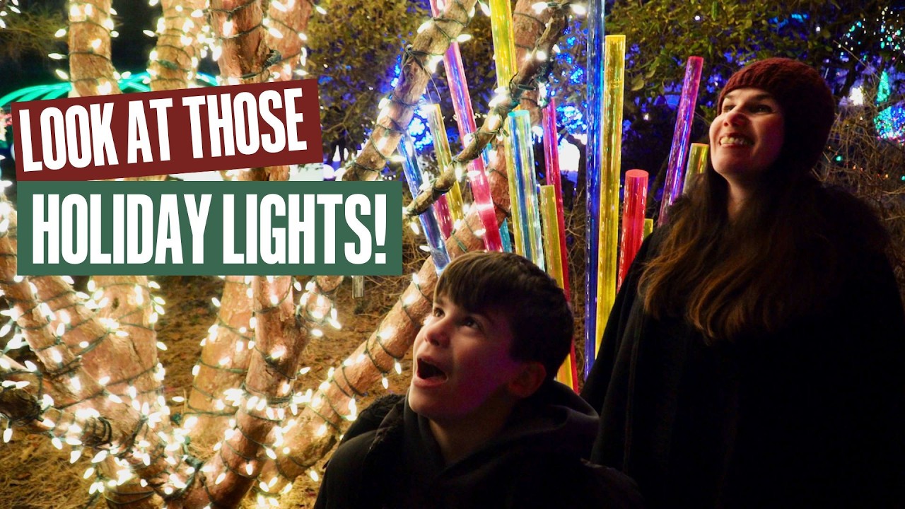 Christmas Lights and Singing Trees at the Holiday Magic Show - YouTube