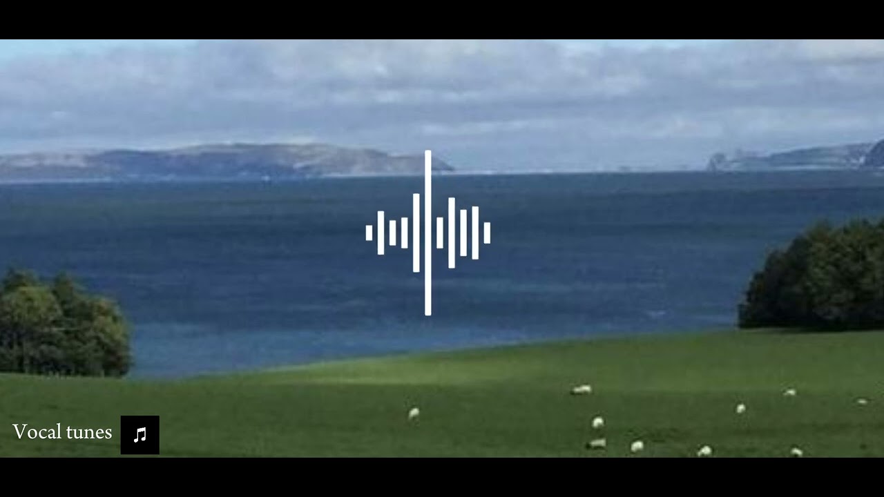 Infrunami - Steve Lacy Lyrics - YouTube