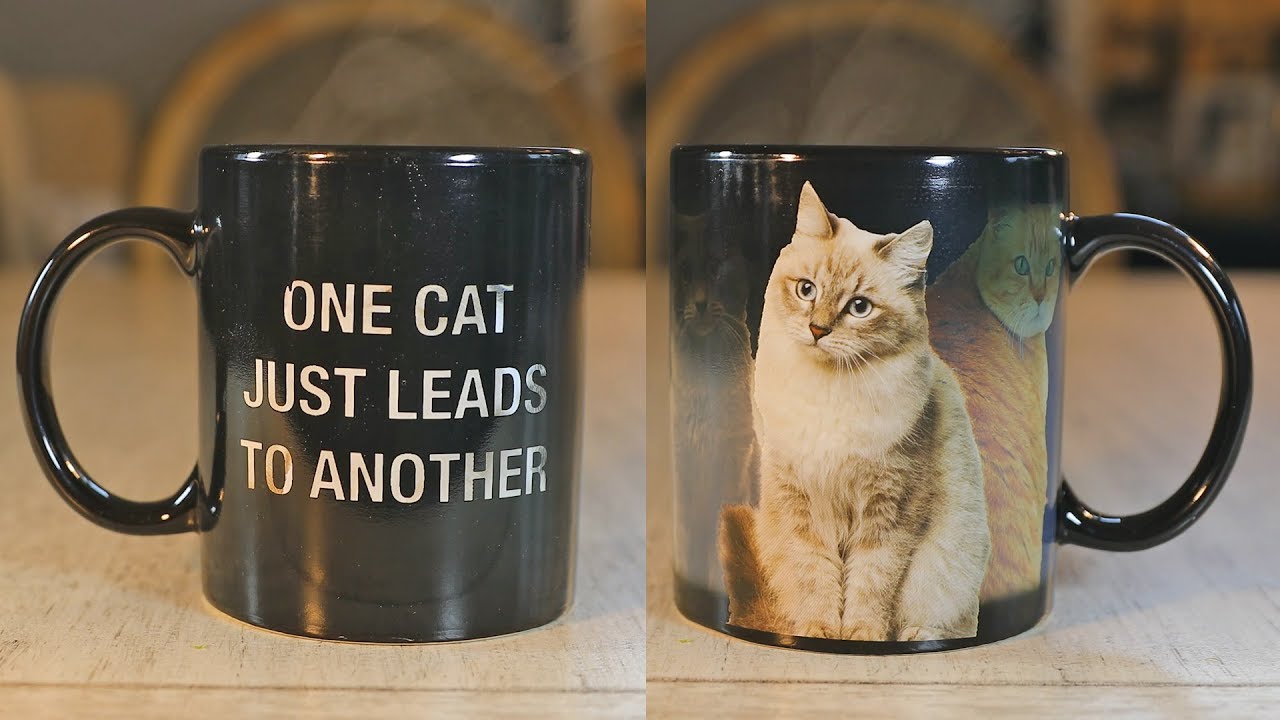 One Cat Leads To Another Heat Changing Cat Mug - YouTube