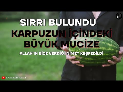 Karpuzun Sırrı Bulundu Büyük Mucize Nelere İyi Geldiğini Duyunca Şok Olacaksınız