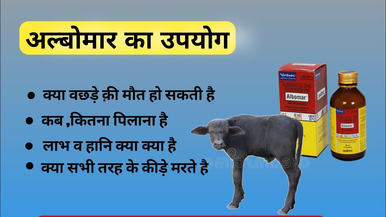 albomar dose for calf || albomar use || albomar medicine use , एल्बोमार ...