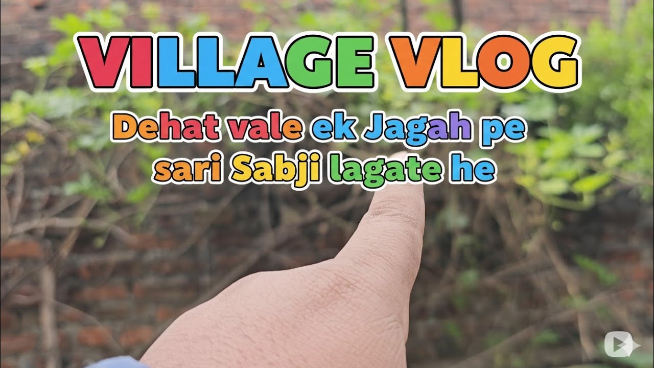 Ek hi Jagah pe Kitna Sara Sabji Lagate he Dehat vale - YouTube
