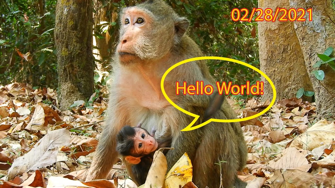 Congratulation mom Cesca for giving birth today to a cute baby | Mila ...