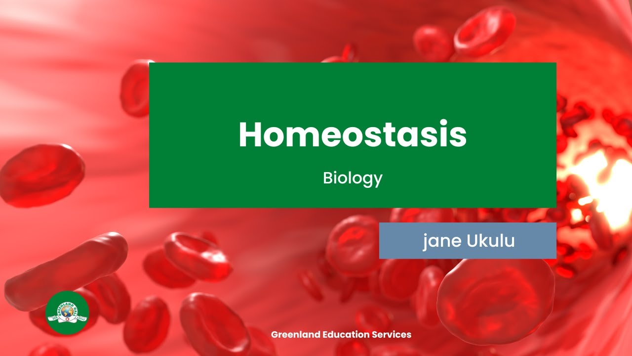 Regulation of Internal Environment (Part 1): Homeostasis | Meaning ...