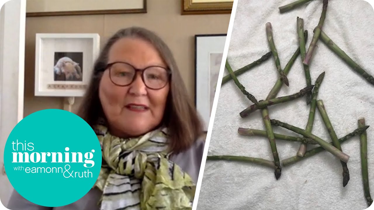 Asparamancer Predicts Eamonn And Ruth's Future Using Asparagus | This ...