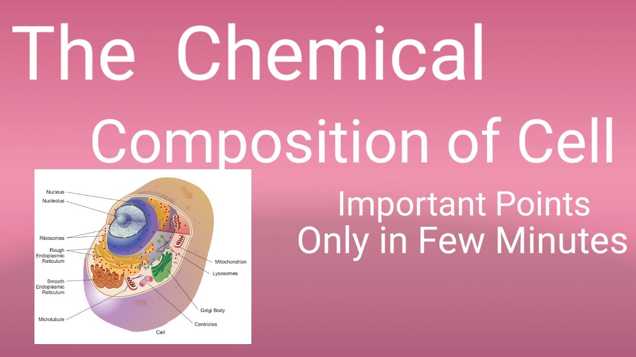 The Chemical Composition of cell | Biology cell composition in details ...