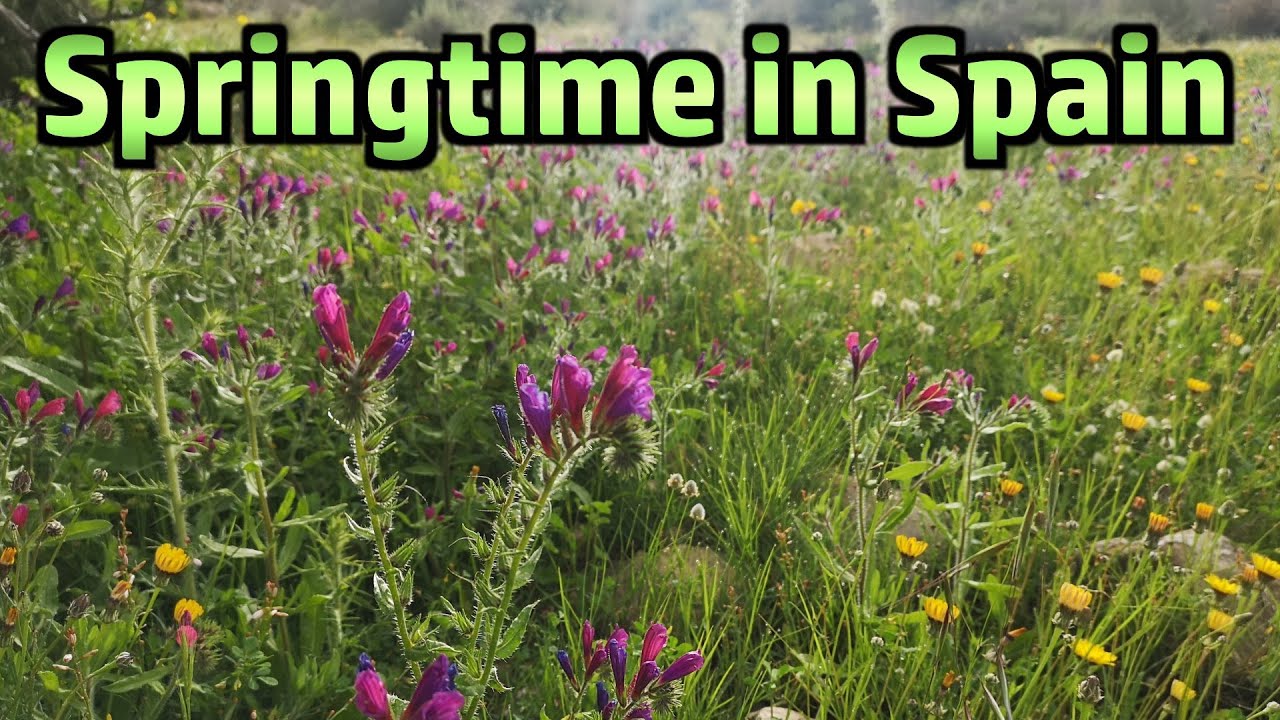 A Spring Nature Walk in Southern Spain - YouTube