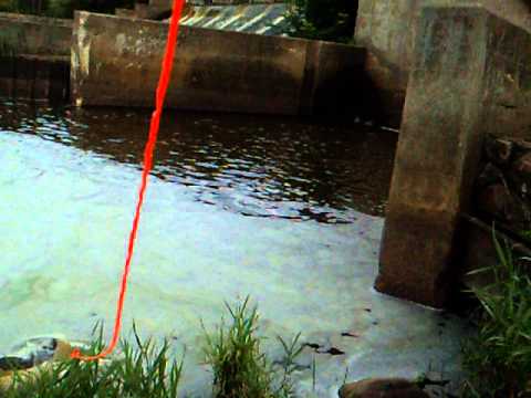 Bowfishing under Chetek dam - YouTube