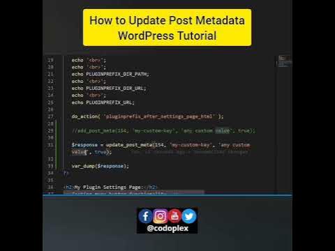 How to Update Post Metadata Programmatically? - YouTube