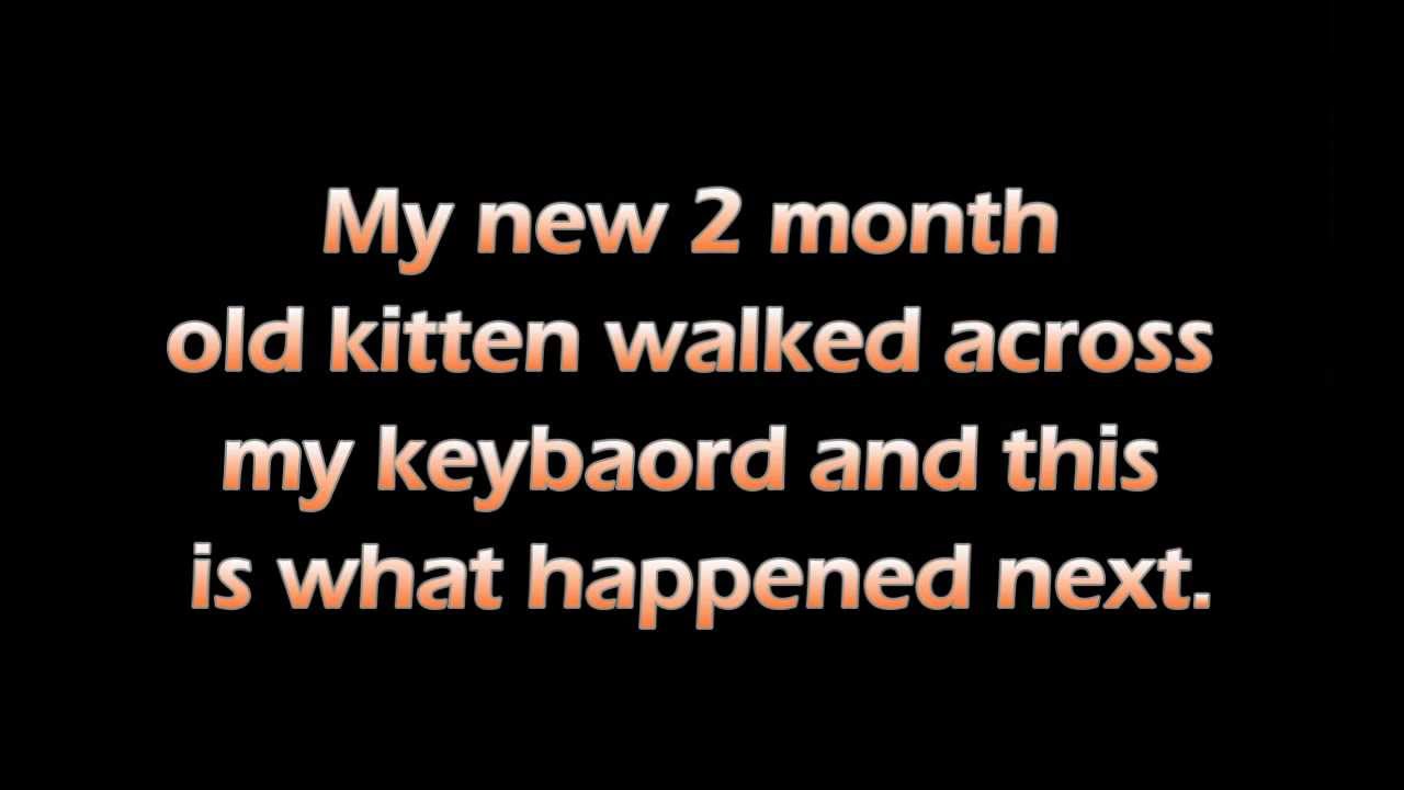 Computer Gone Crazy - YouTube