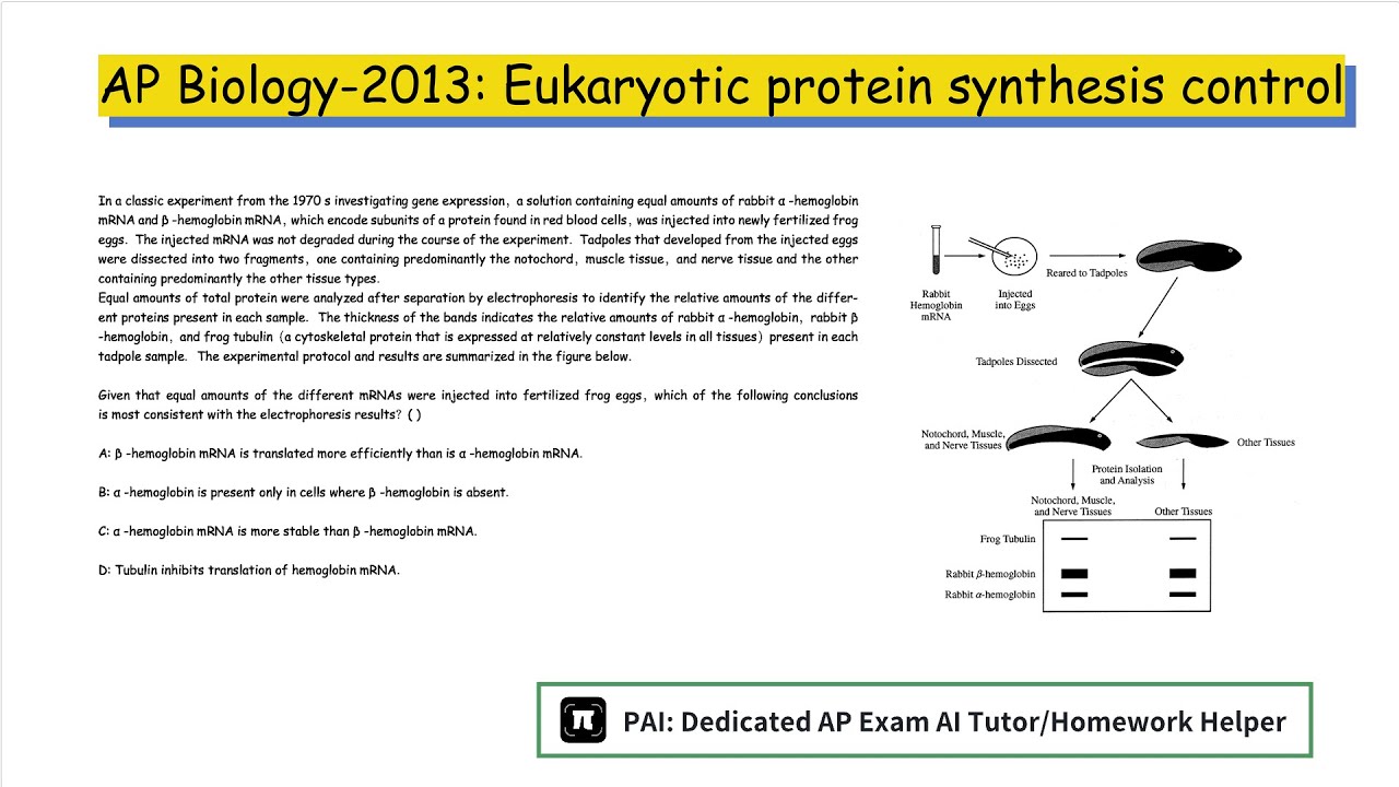 2013 AP Biology: Controlling Protein Synthesis in Eukaryotes: Molecular ...