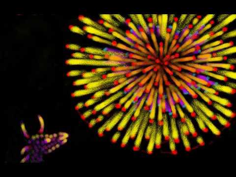 DRAGON FIREWORKS 1 0 gif  MP4