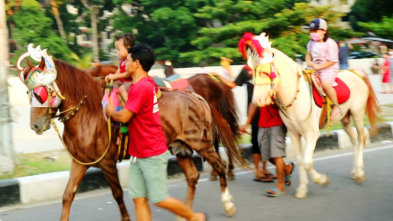 Lagu Naik Delman Terbaik - Kuda Delman - Lagu Naik Kuda - Horse - Dokar ...