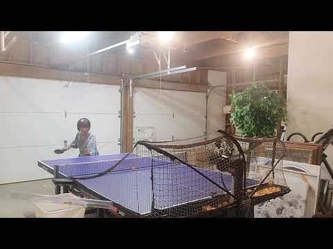 ping pong 2