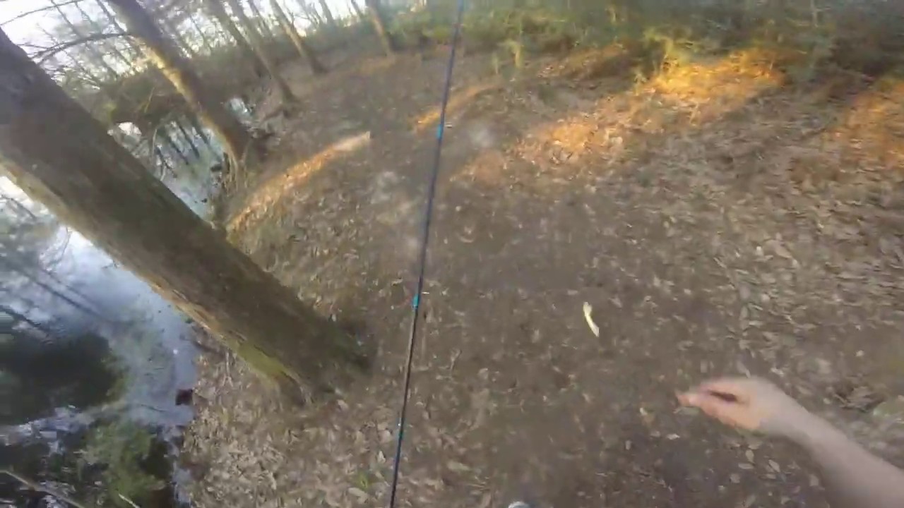 Klein Lake Feb 2018 - YouTube