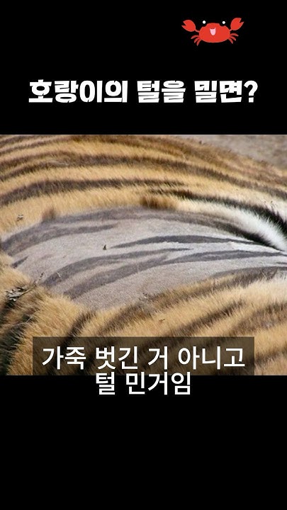 신기한 사진들 1탄 - YouTube