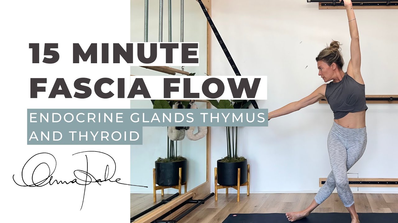 CORE WORK - ENDOCRINE GLANDS THYMUS AND THYROID - FASCIA FLOW - GSTBODY ...