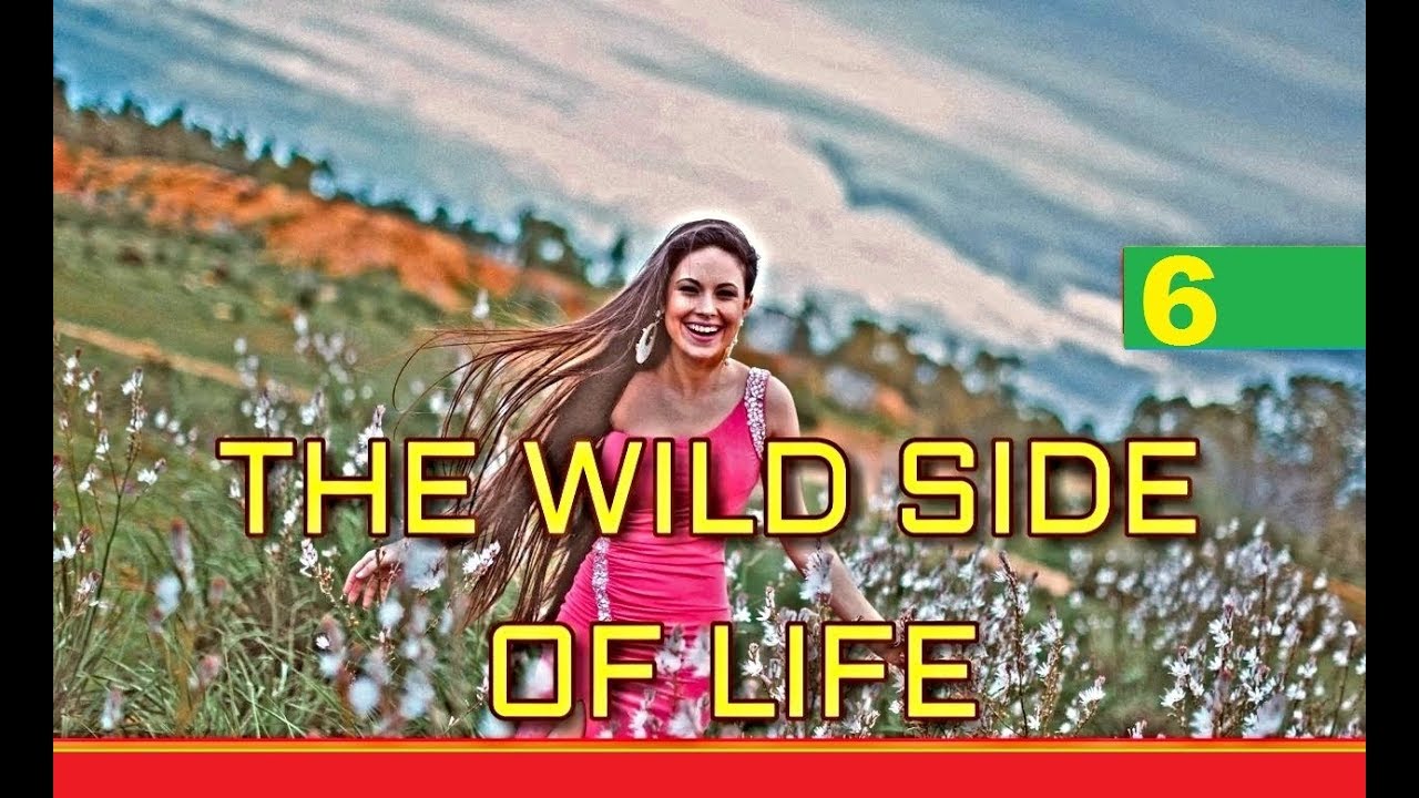 THE WILD SIDE OF LIFE - 6 - YouTube