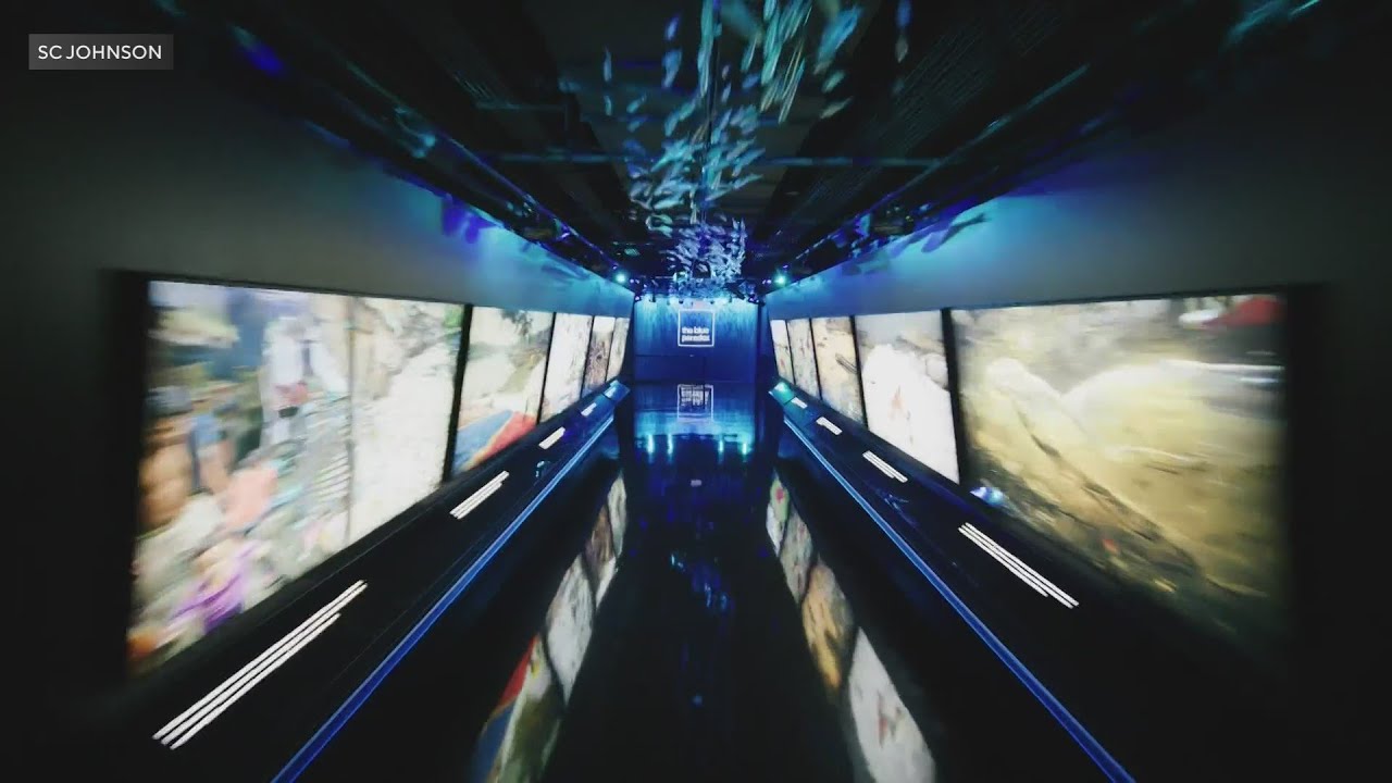 The Blue Paradox: Immersive experience inside the Ocean’s plastic ...