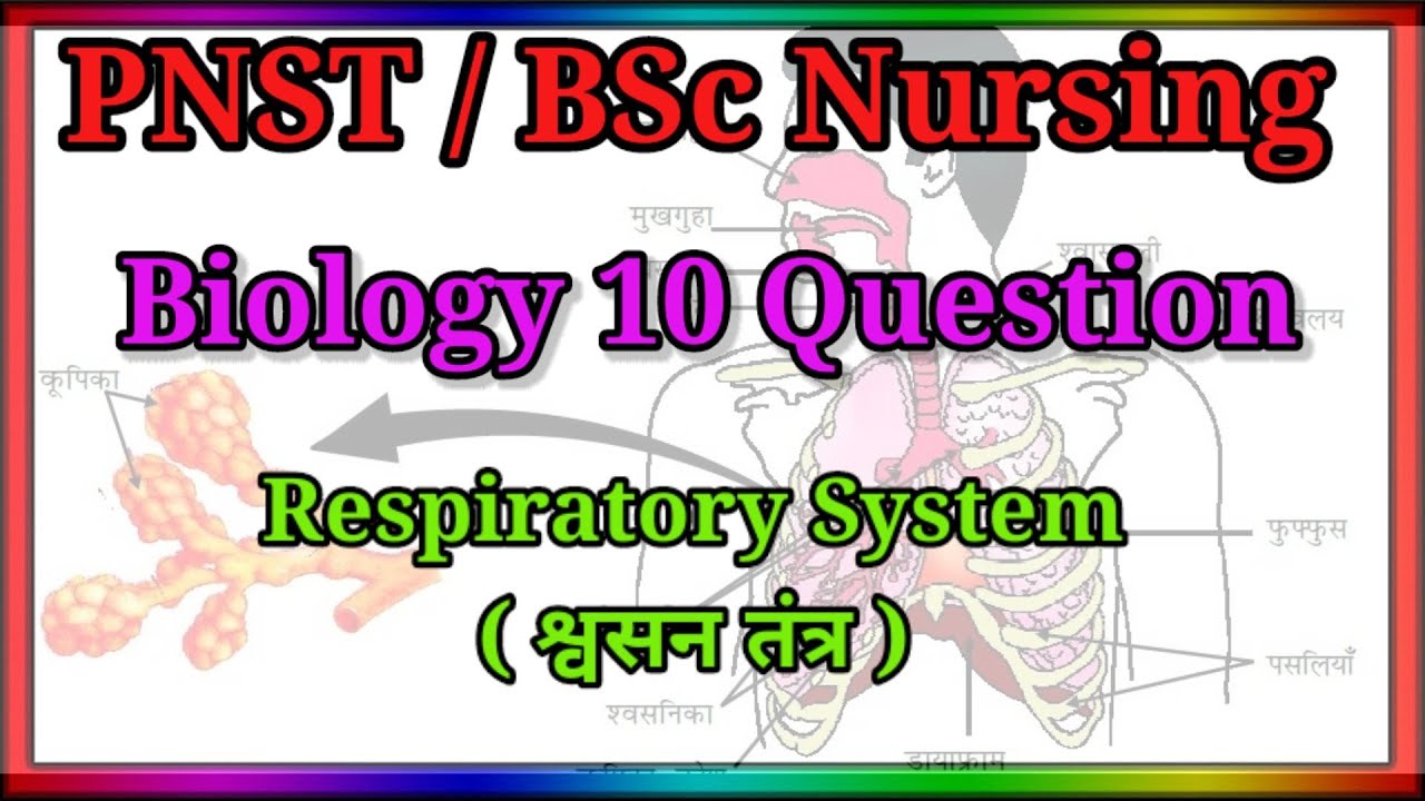 Respiratory system #pnst #youtubevideo - YouTube