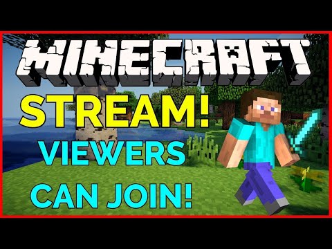 playing minecraft with viewers