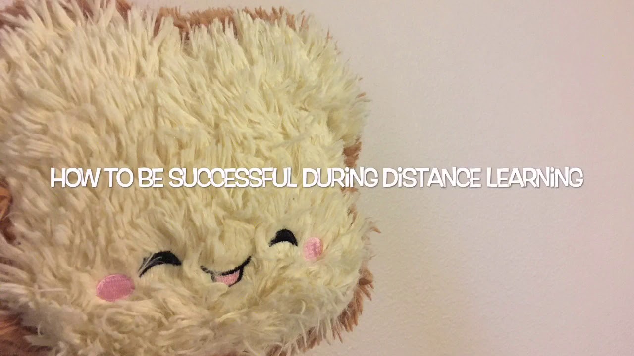 Successful Distance Learning with Mr. Toast - YouTube