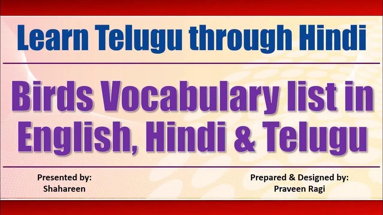 Birds Names in Telugu Hindi and English: Part 14 | Learn Telugu Through ...