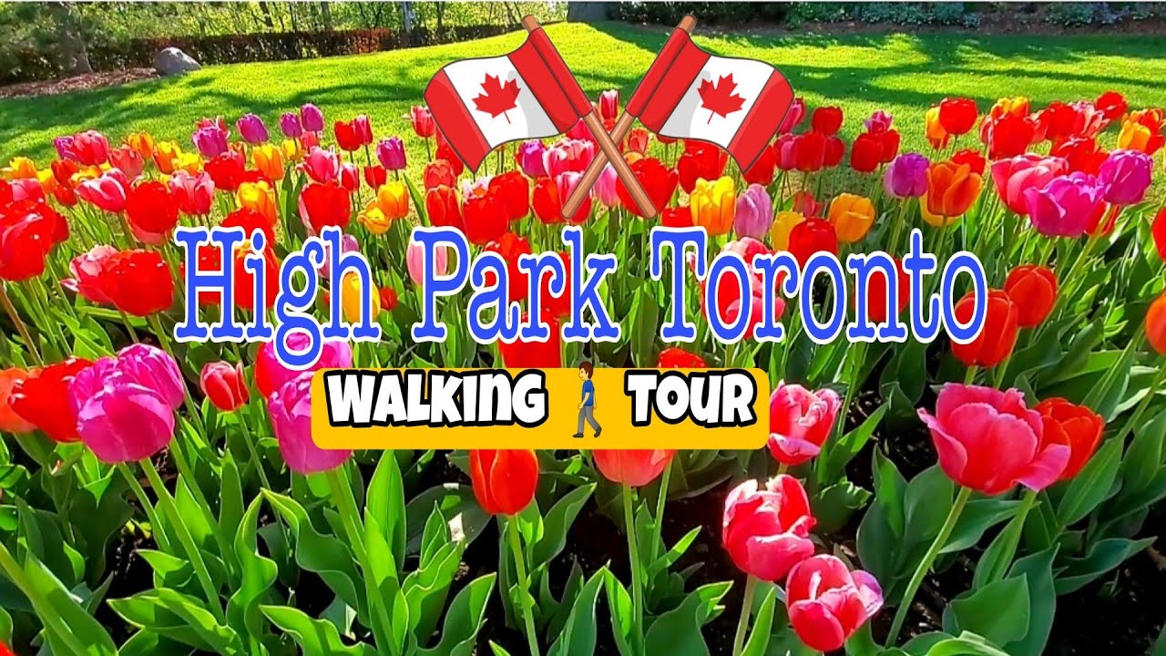 High Park Toronto #highpark #canada #toronto - YouTube